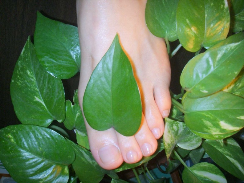 SSM18675 | （福妹）主题相册